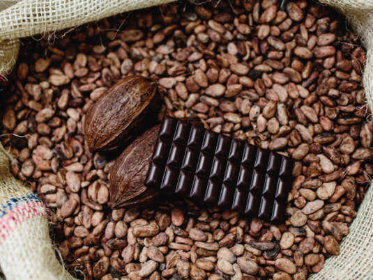 Le guide ultime de la conservation du chocolat : Conseils pour ...
